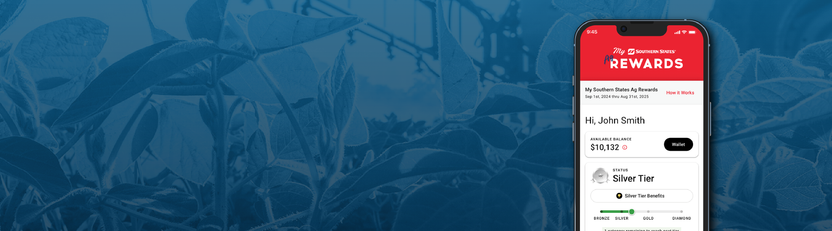 Save $2.00 Save $0.00