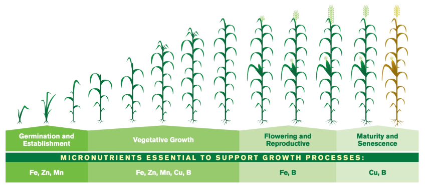 Microsync Solutions — SouthernStatesCoop