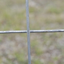 Oklahoma Steel & Wire Utility Fabric 12.5 ga 36 in x 100 ft