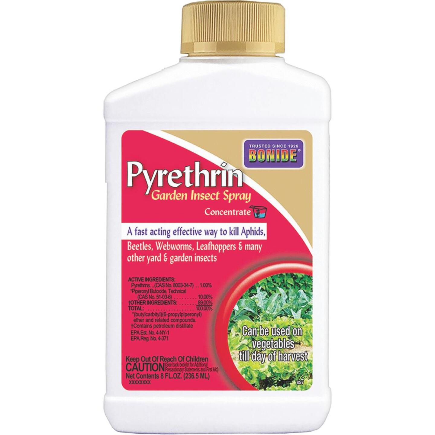 Bonide 8 Oz Concentrate Pyrethrin Insect Killer
